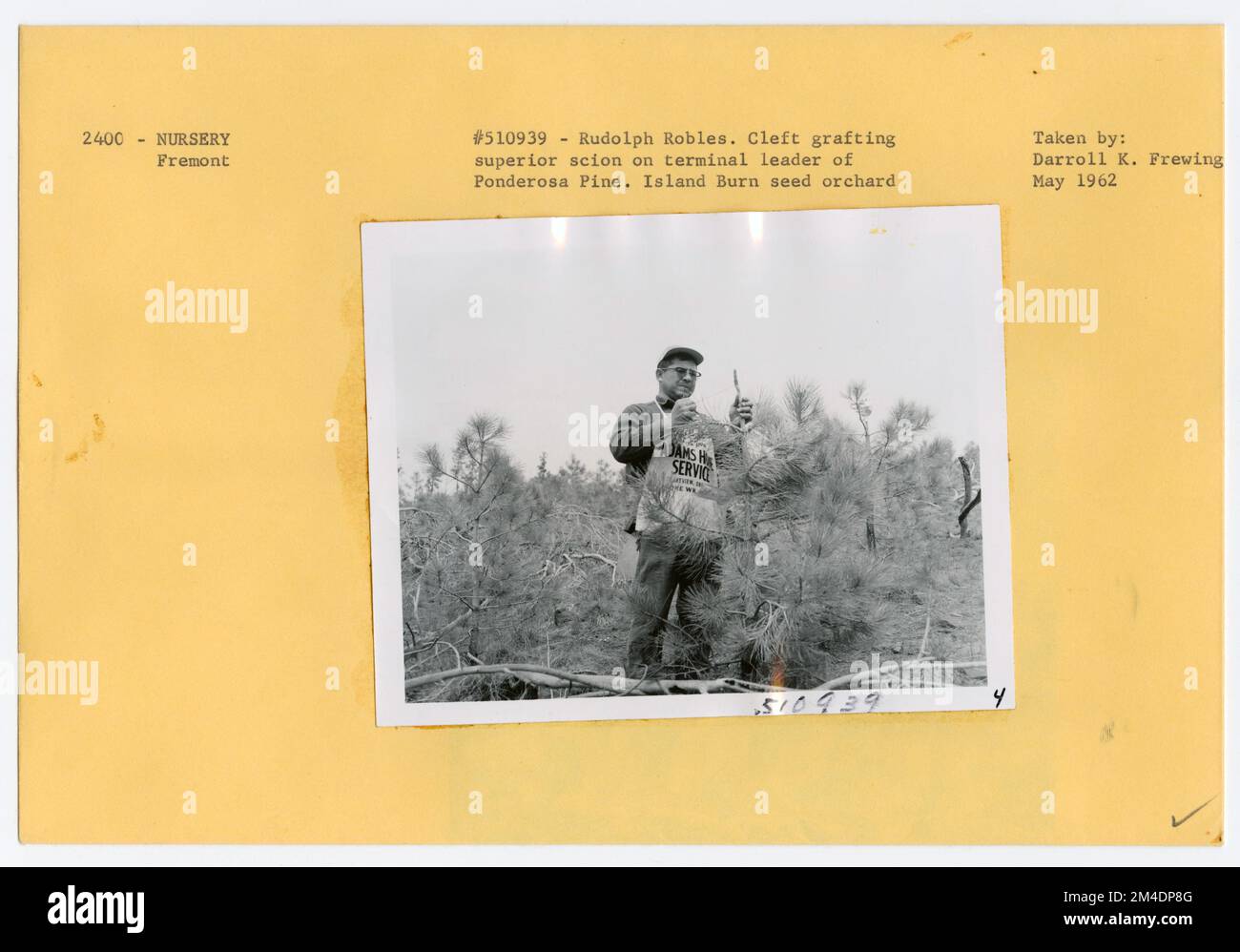 Range Improvement - Seeding - General. Photographs Relating to National ...