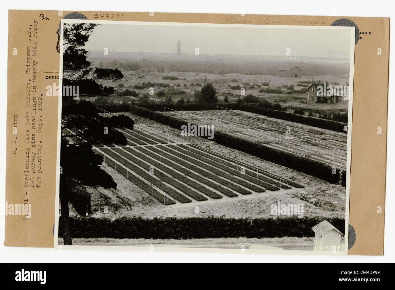 Range Improvement - Seeding - General. Photographs Relating to National ...