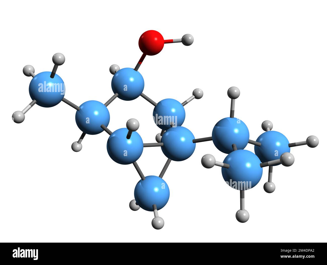 3D image of Thujanol skeletal formula - molecular chemical structure of ...