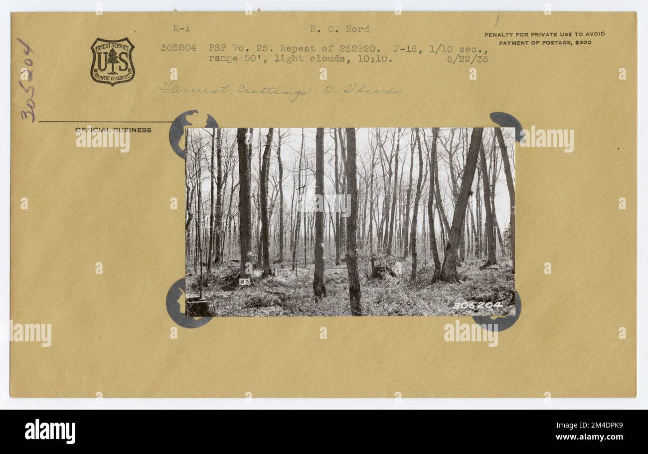 Timber Related Crops - General. Photographs Relating to National ...