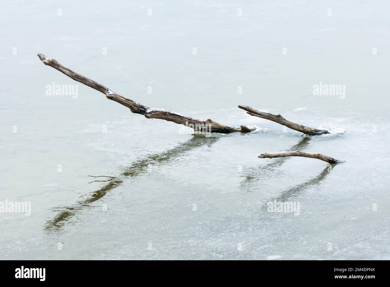 Stick sticks sticking out hi-res stock photography and images - Alamy