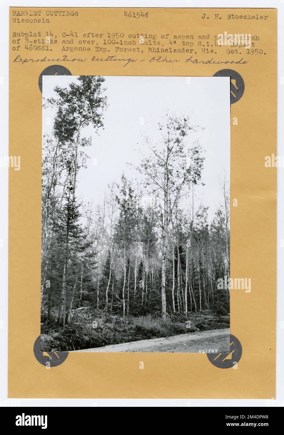Timber Related Crops - General. Photographs Relating to National ...