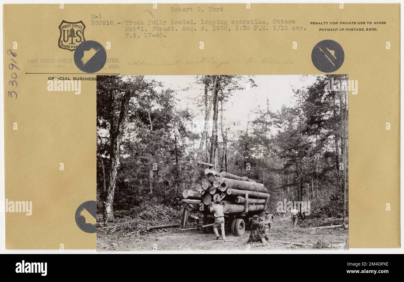 Timber Related Crops - General. Photographs Relating to National ...