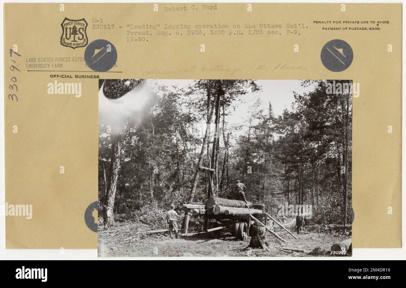 Timber Related Crops - General. Photographs Relating to National ...