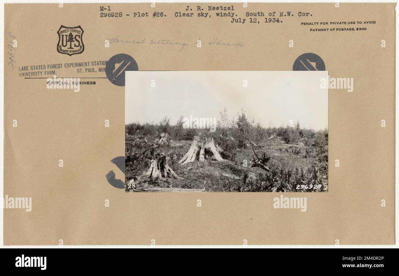 Timber Related Crops - General. Photographs Relating to National ...