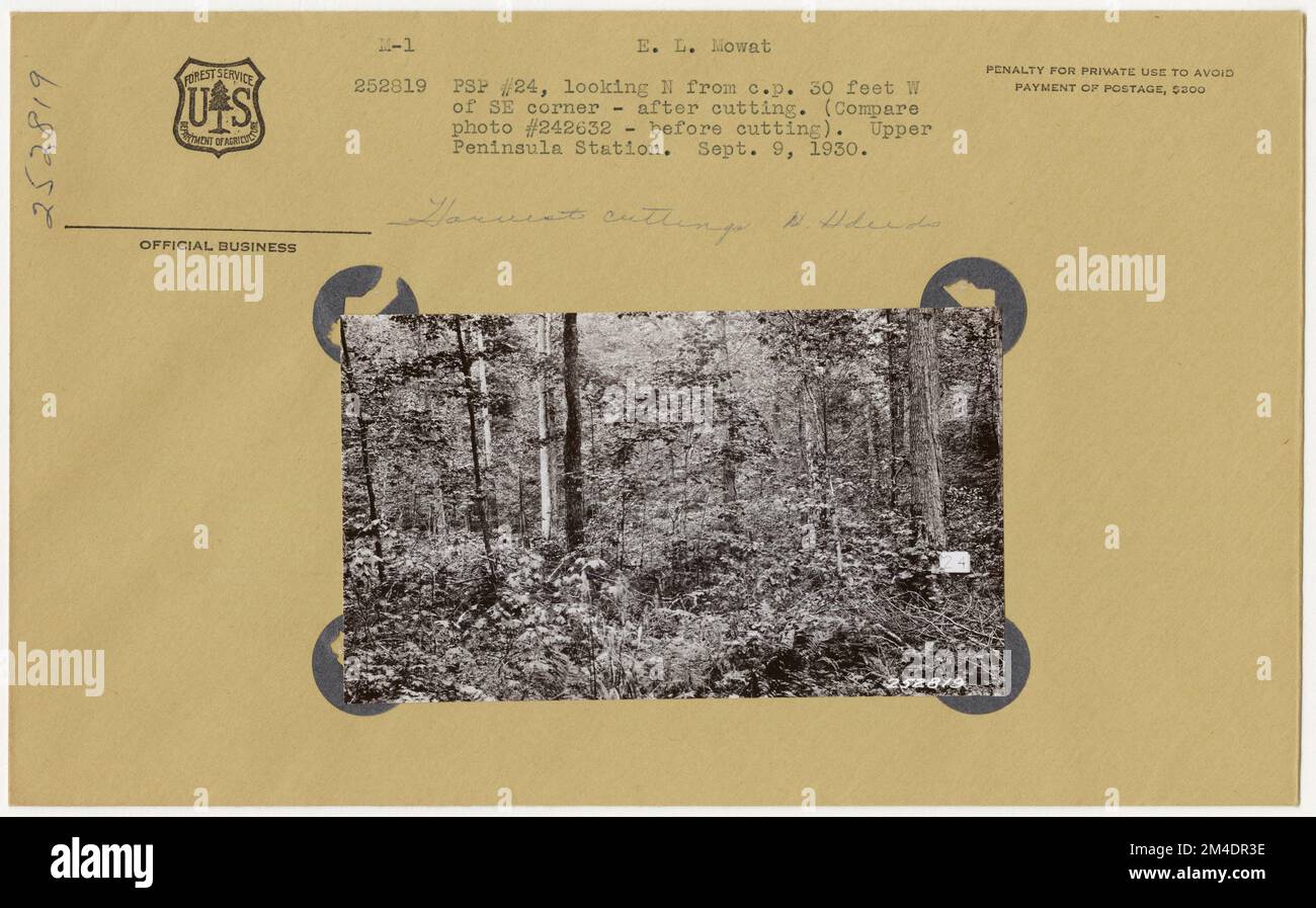 Timber Related Crops - General. Photographs Relating to National ...