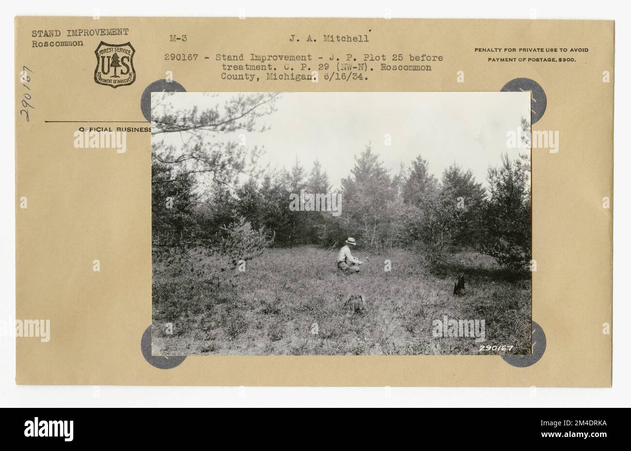 Timber Stand Improvement - General. Photographs Relating to National ...