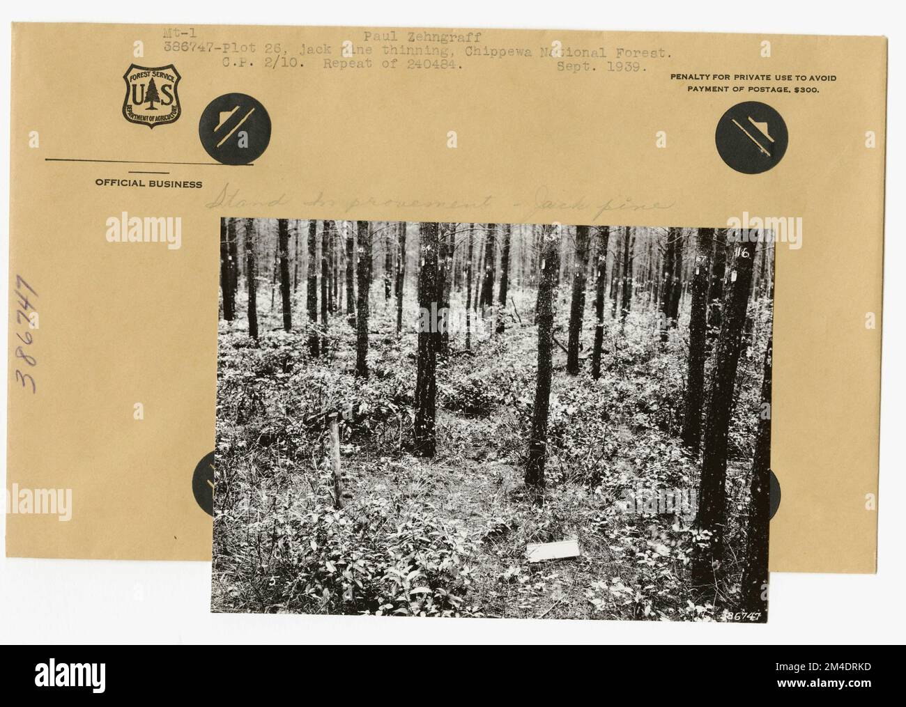 Timber Stand Improvement - General. Photographs Relating to National ...