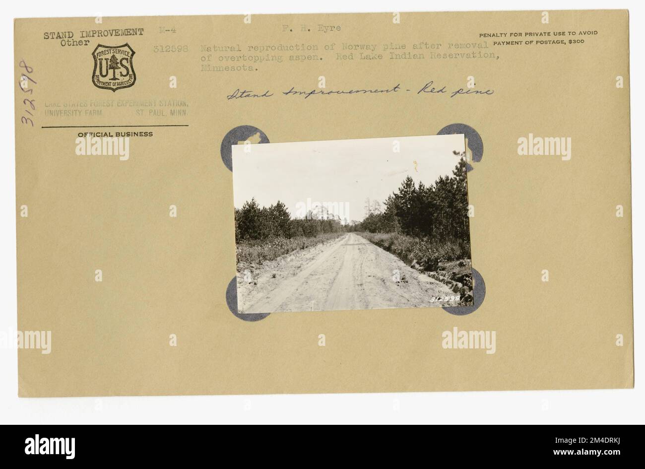 Timber Stand Improvement - General. Photographs Relating to National ...