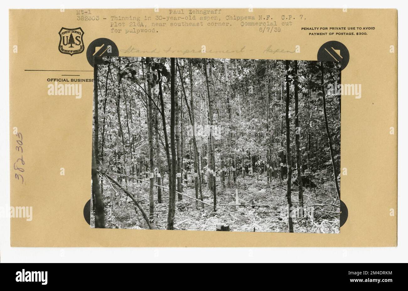 Timber Stand Improvement - General. Photographs Relating to National ...