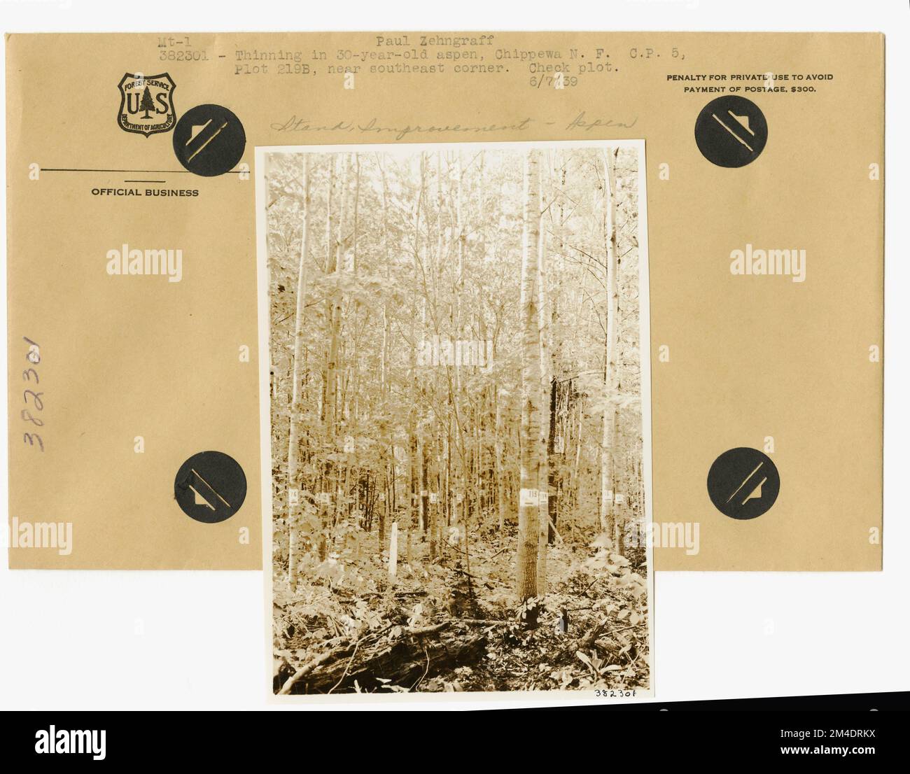 Timber Stand Improvement - General. Photographs Relating to National ...