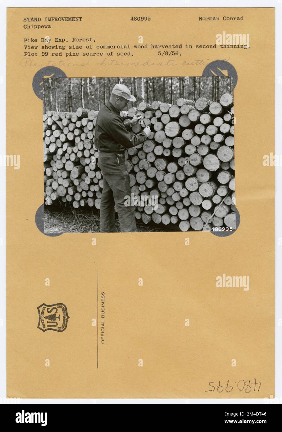 Timber Stand Improvement - General. Photographs Relating to National ...