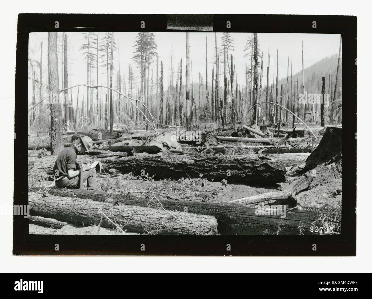 Economic investigation Cut Out Stock Images & Pictures - Alamy