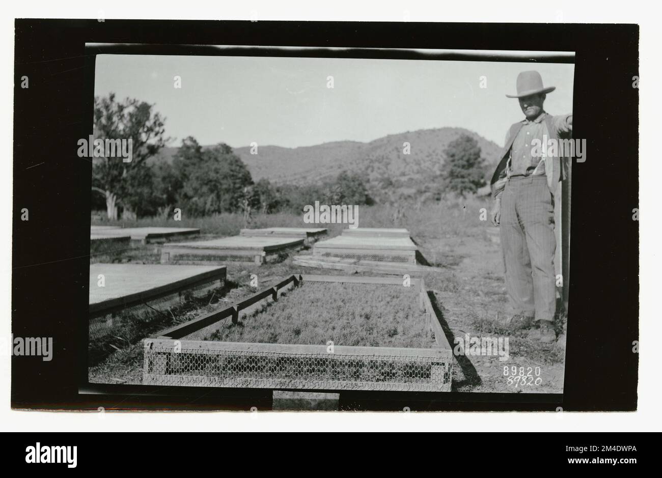 Reproduction Studies - General. Photographs Relating to National ...