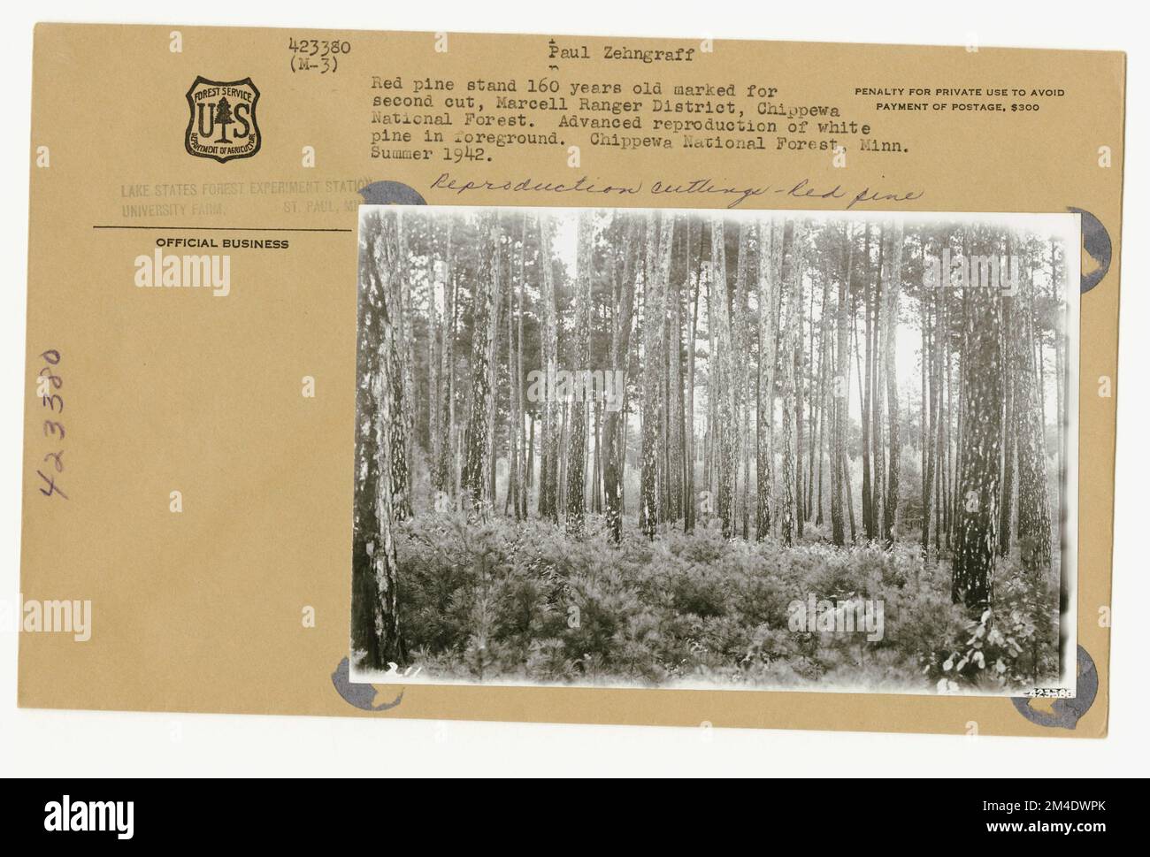 Reproduction Studies - General. Photographs Relating to National ...