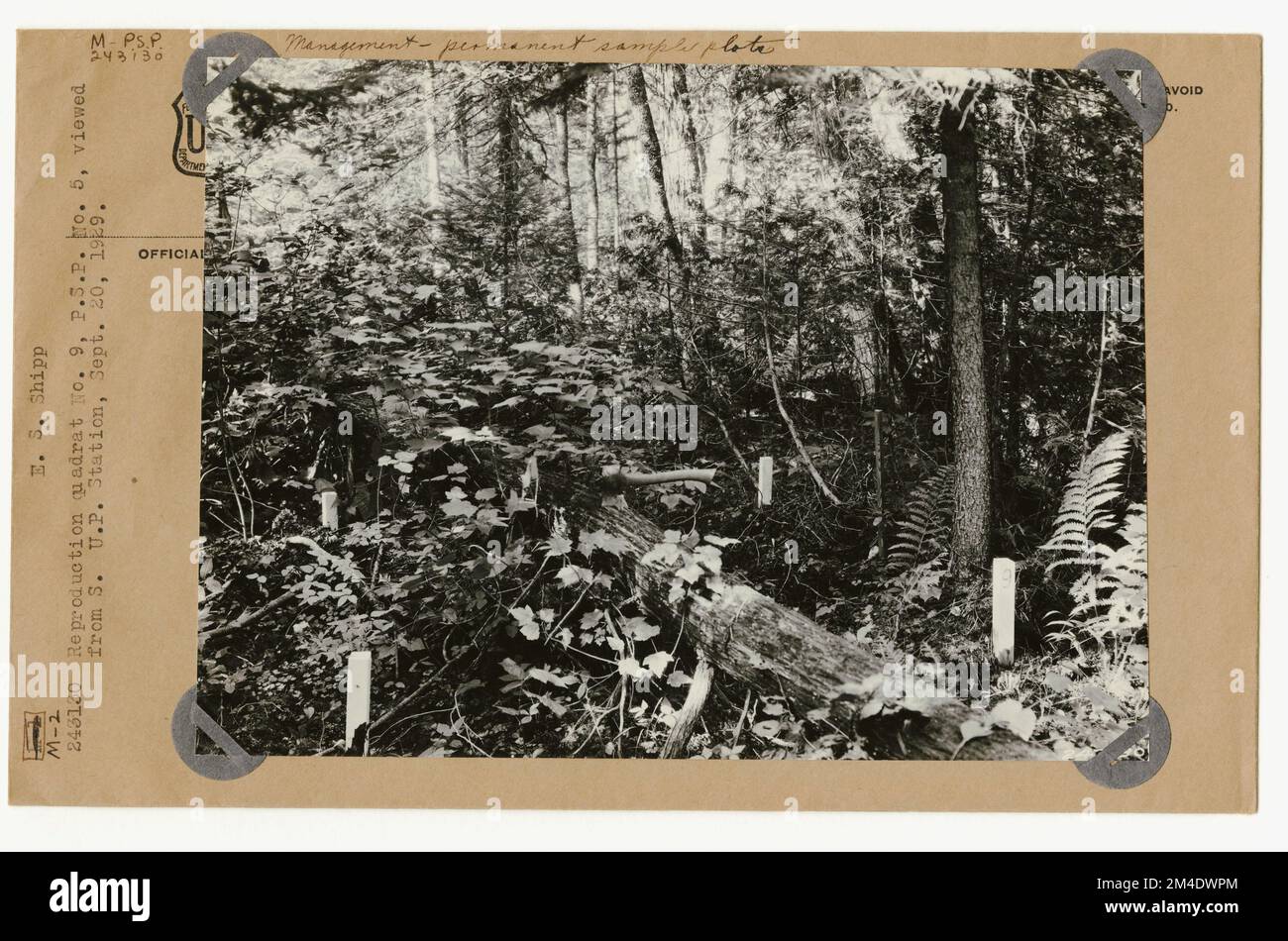 Reproduction Studies - General. Photographs Relating to National ...