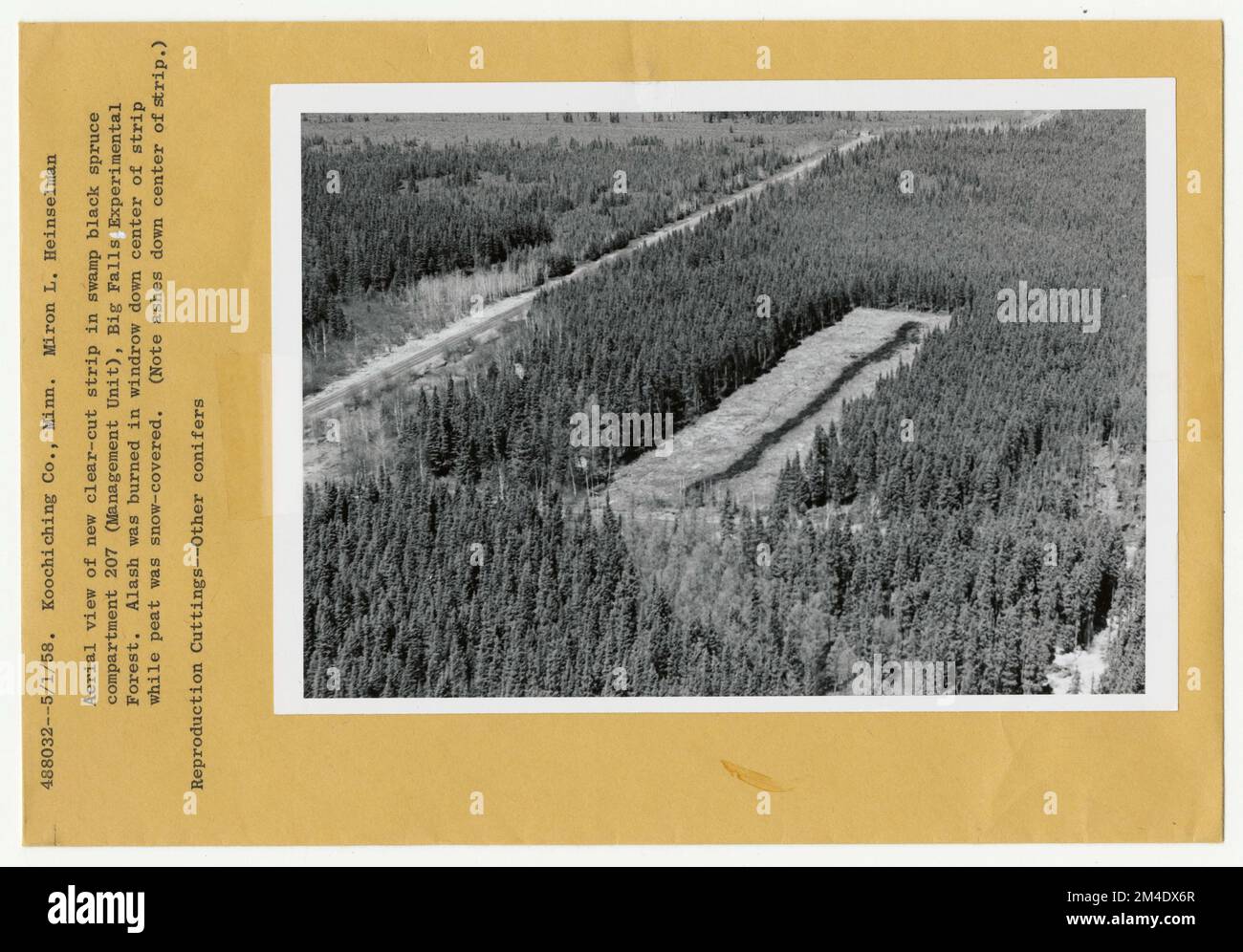 Reproduction Studies - General. Photographs Relating to National ...