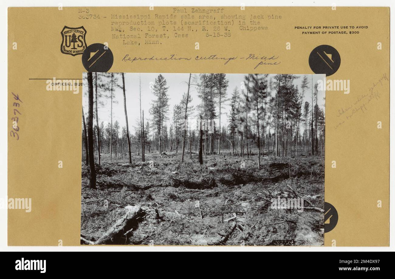 Reproduction Studies - General. Photographs Relating to National ...