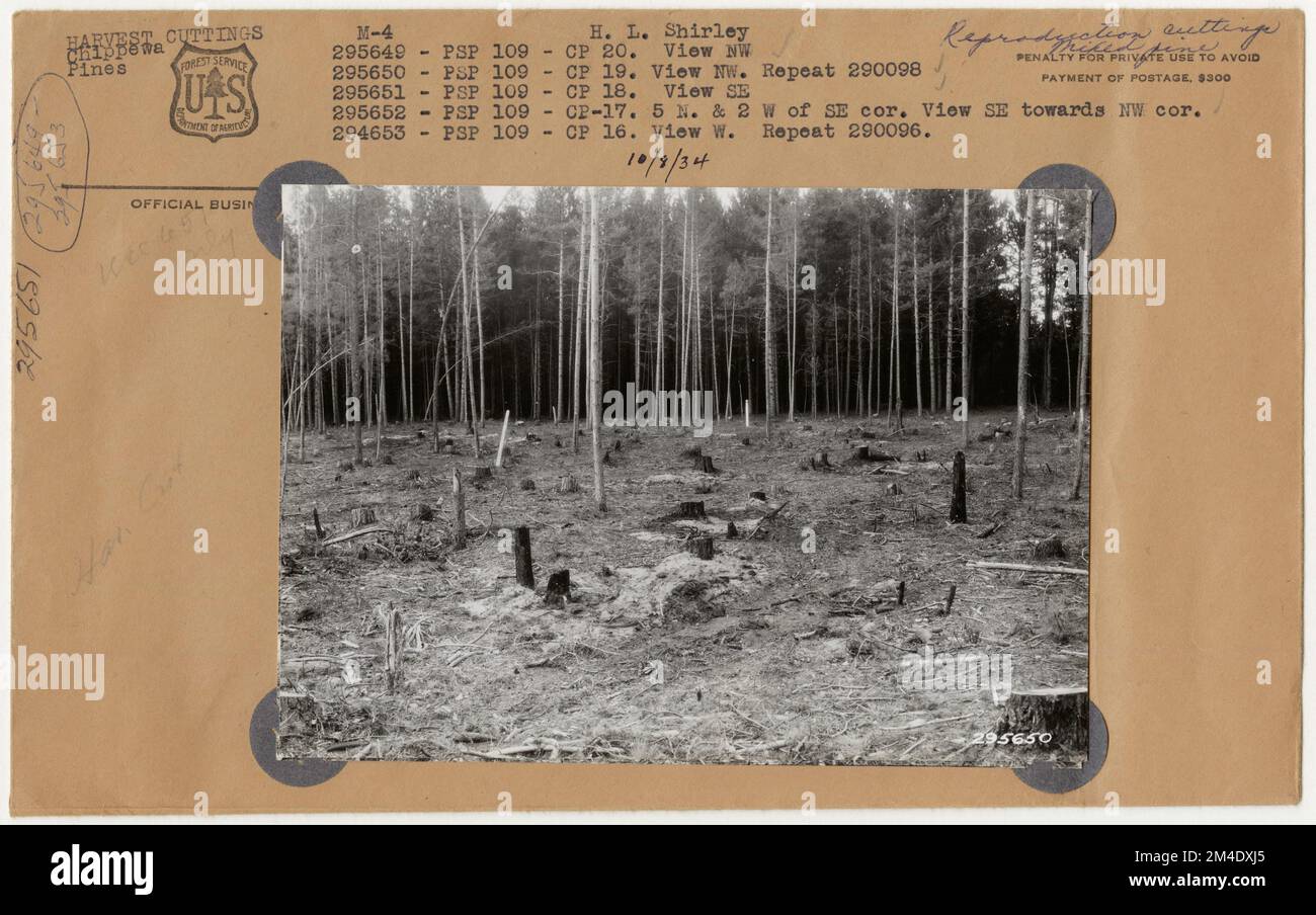 Reproduction Studies - General. Photographs Relating to National ...