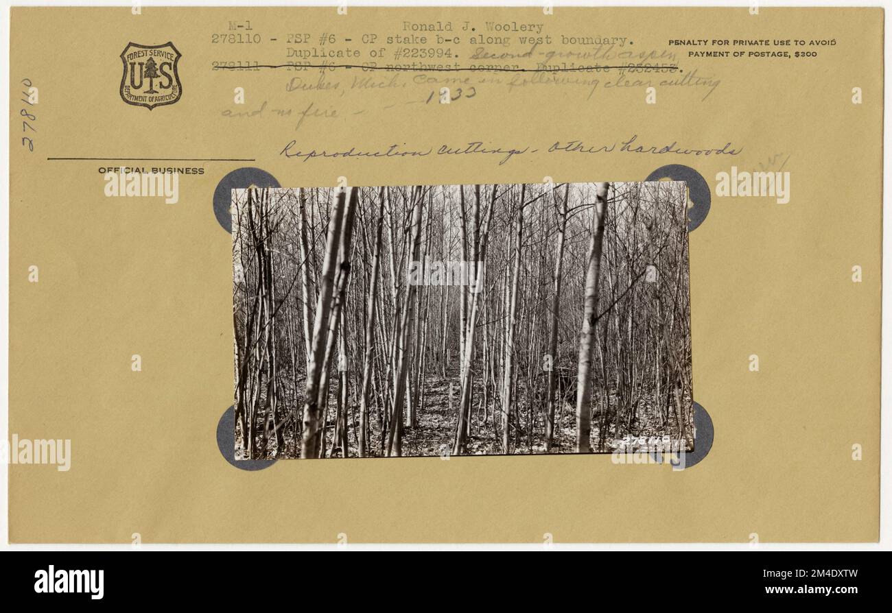 Reproduction Studies - General. Photographs Relating to National ...