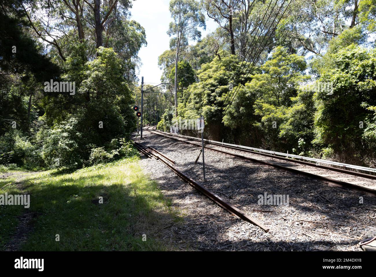 Belgrave is a town and outer suburb in Melbourne, Victoria, Australia ...