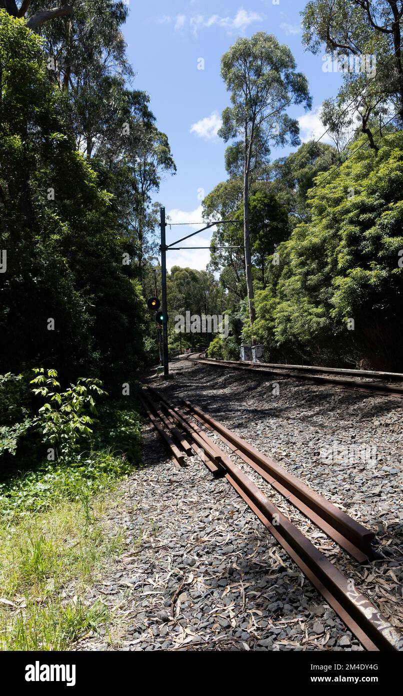 Belgrave is a town and outer suburb in Melbourne, Victoria, Australia ...