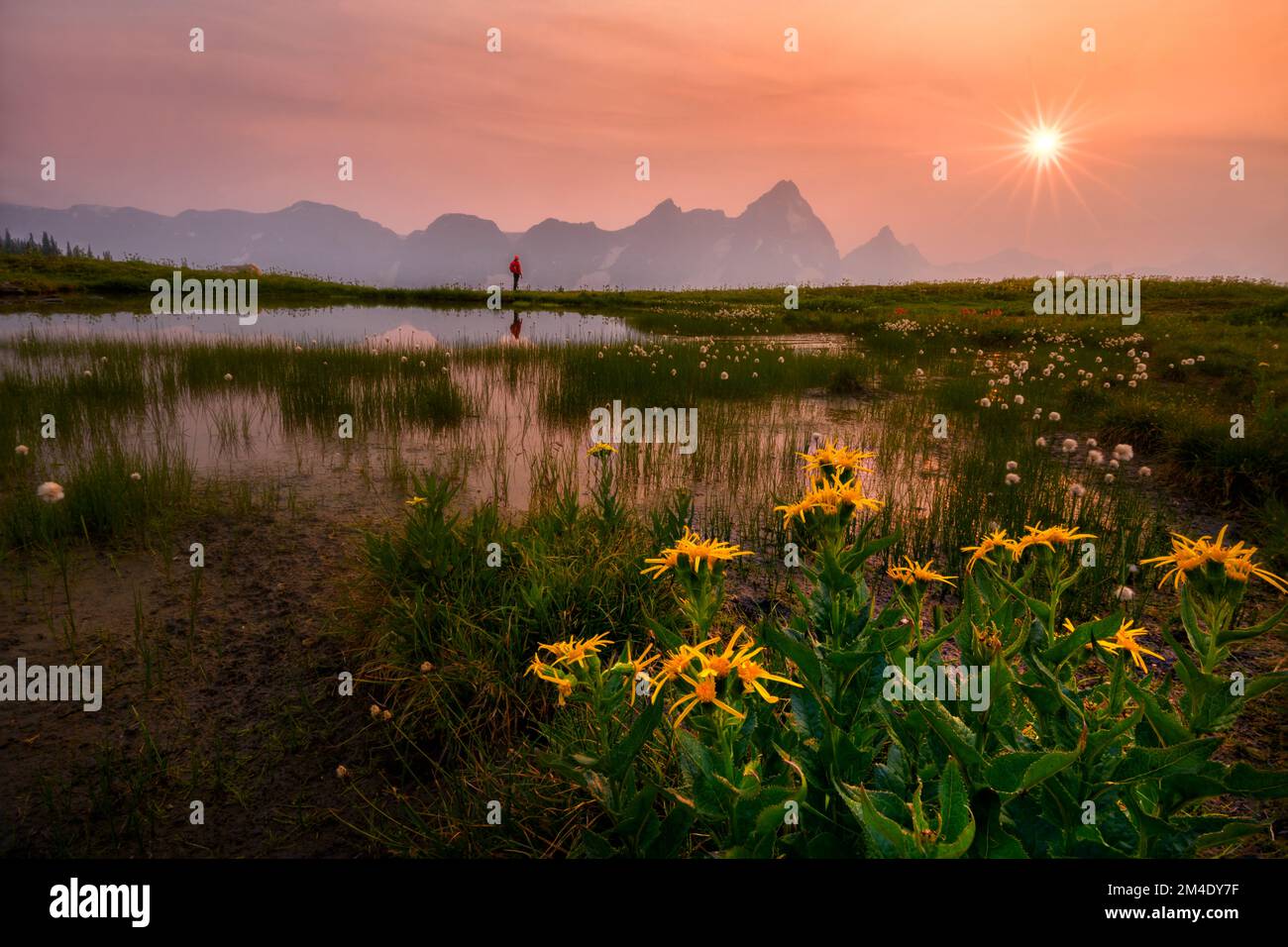 Purcell mountains hi-res stock photography and images - Alamy