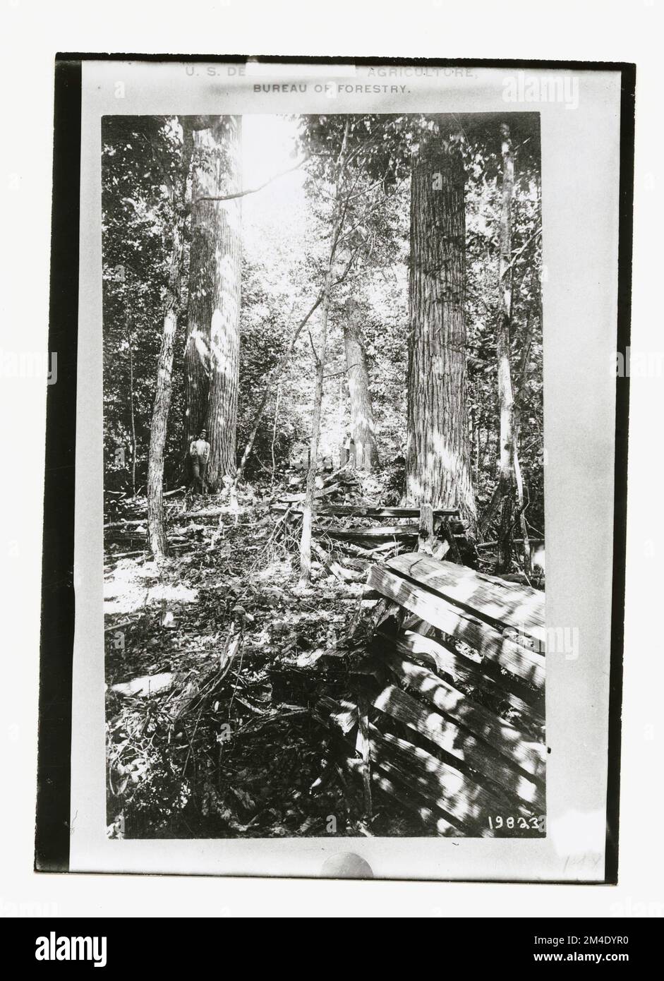 Land form Cut Out Stock Images & Pictures - Alamy