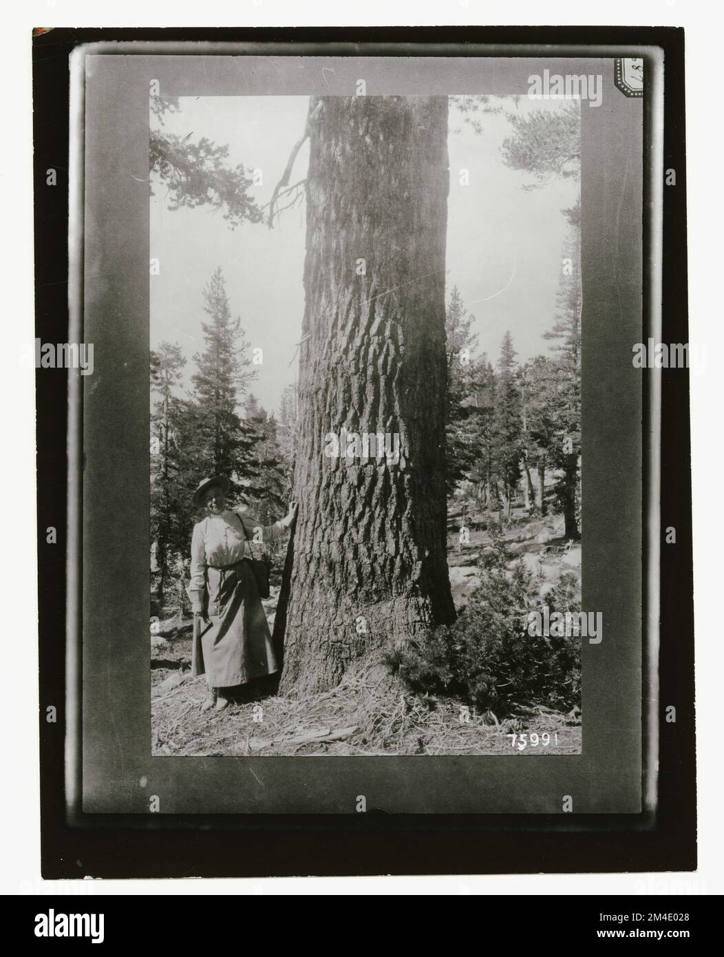 Indigenous ecological management Cut Out Stock Images & Pictures - Alamy