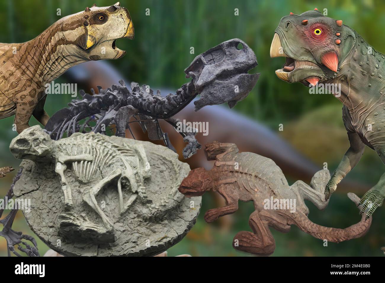 Psittacosaurus hi-res stock photography and images - Alamy