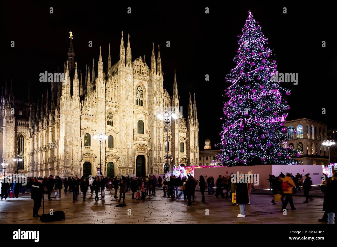 The annual Christmas tree erected in the Piazza del Duomo during the ...