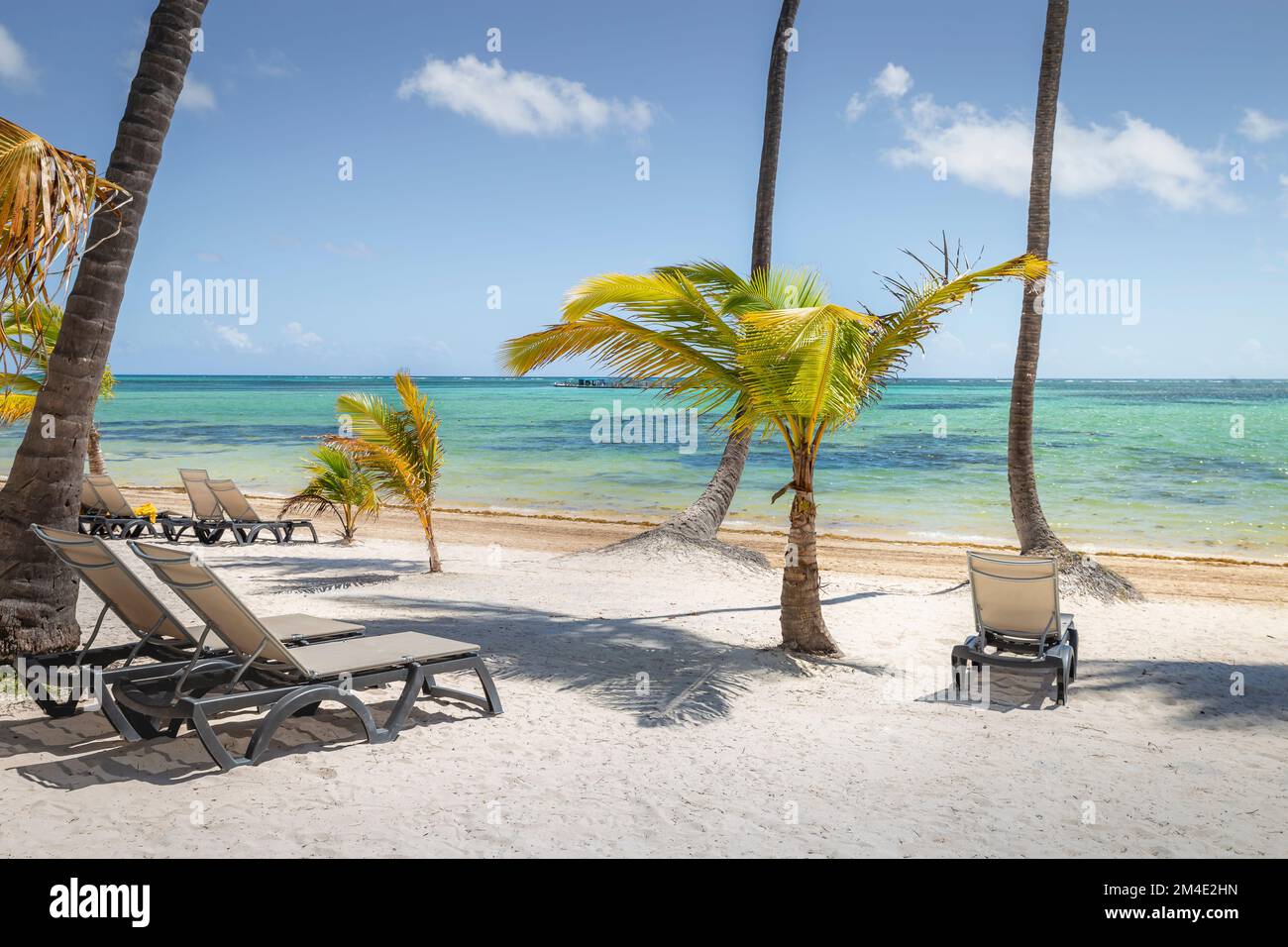 Bavaro Tropical beach in Punta Cana, Caribbean sea, Dominican Republic Stock Photo - Alamy