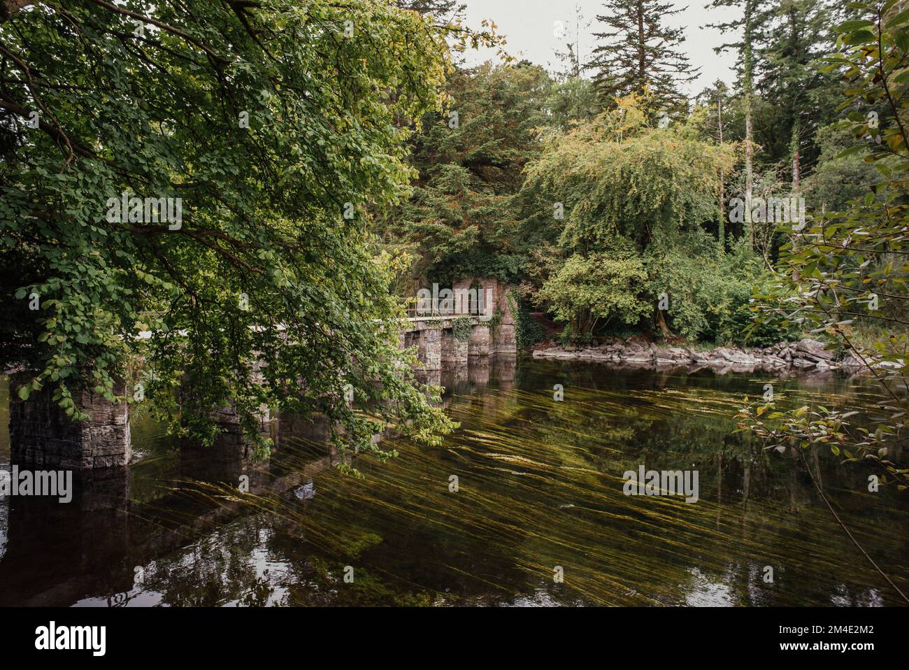 Royal abbey cong hi-res stock photography and images - Alamy