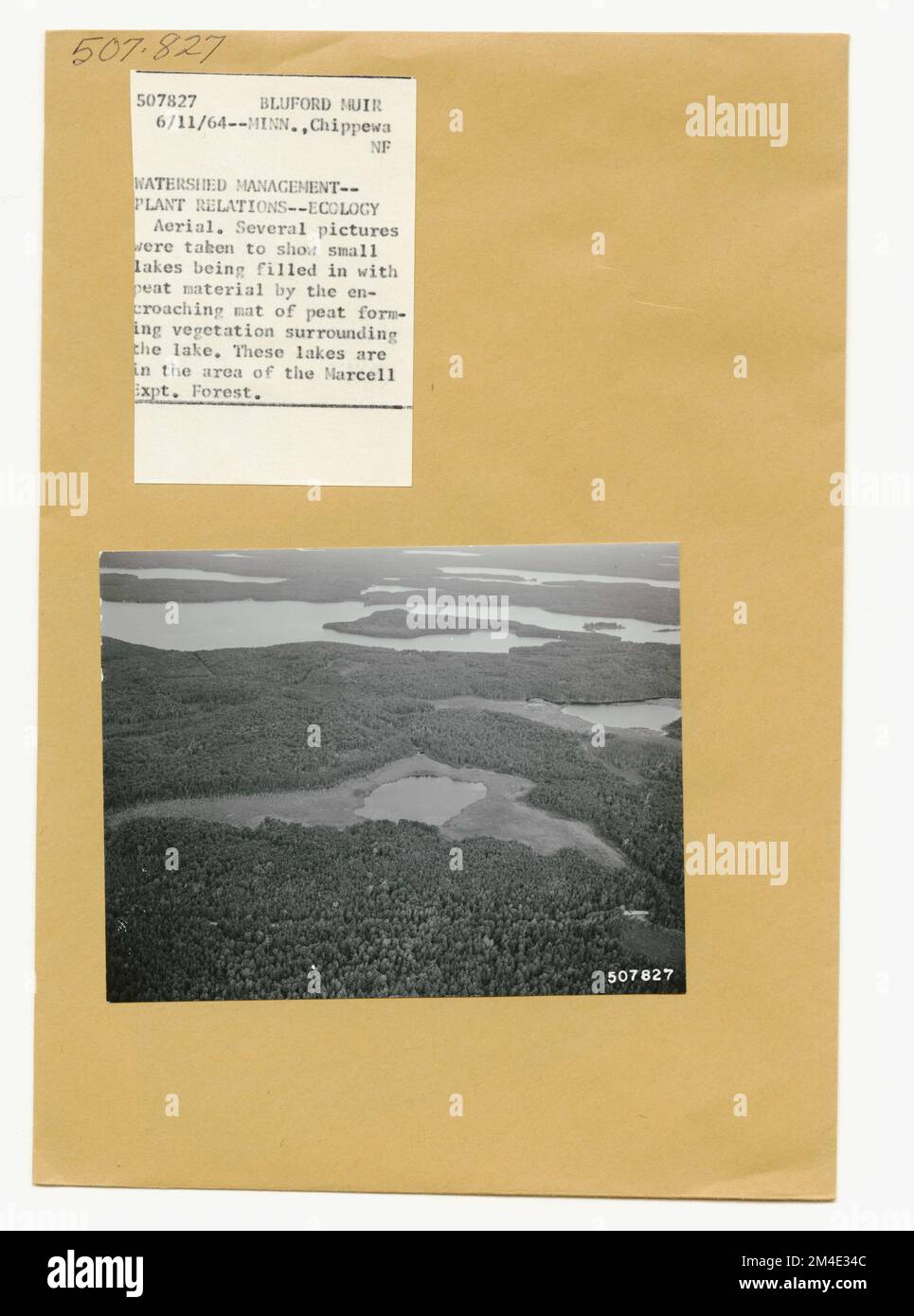 Cultural erosion Cut Out Stock Images & Pictures - Alamy