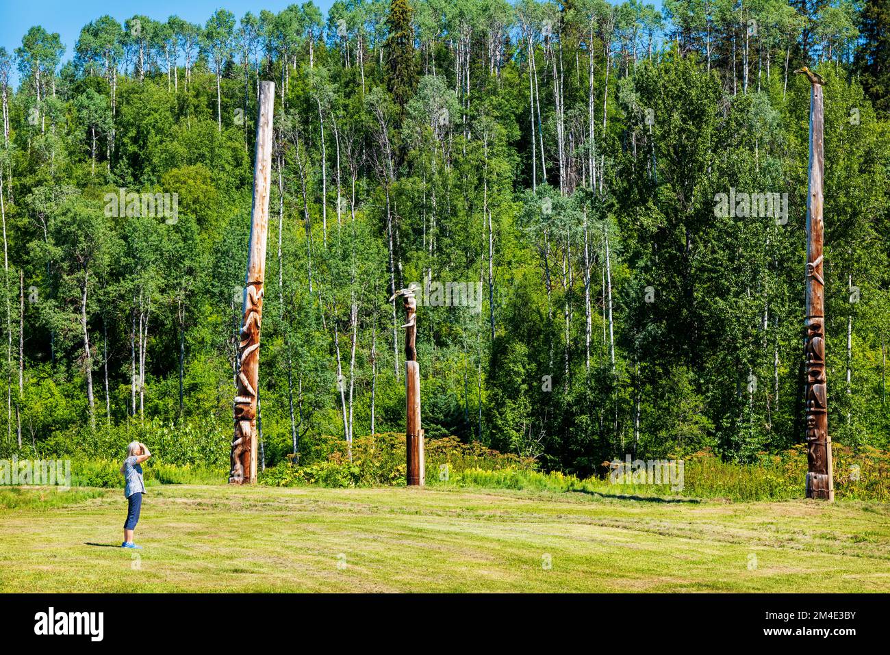 Senior female tourist viewing hand carved cedar totem poles; Gitanyow ...