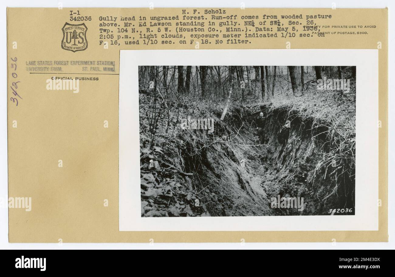 Erosion Effect - Smelter Fume Denudation. Photographs Relating to ...
