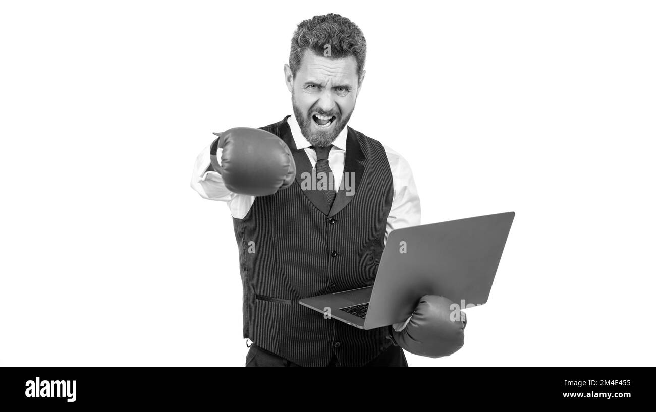 angry man punching with fist in boxing glove hold computer, anger Stock ...