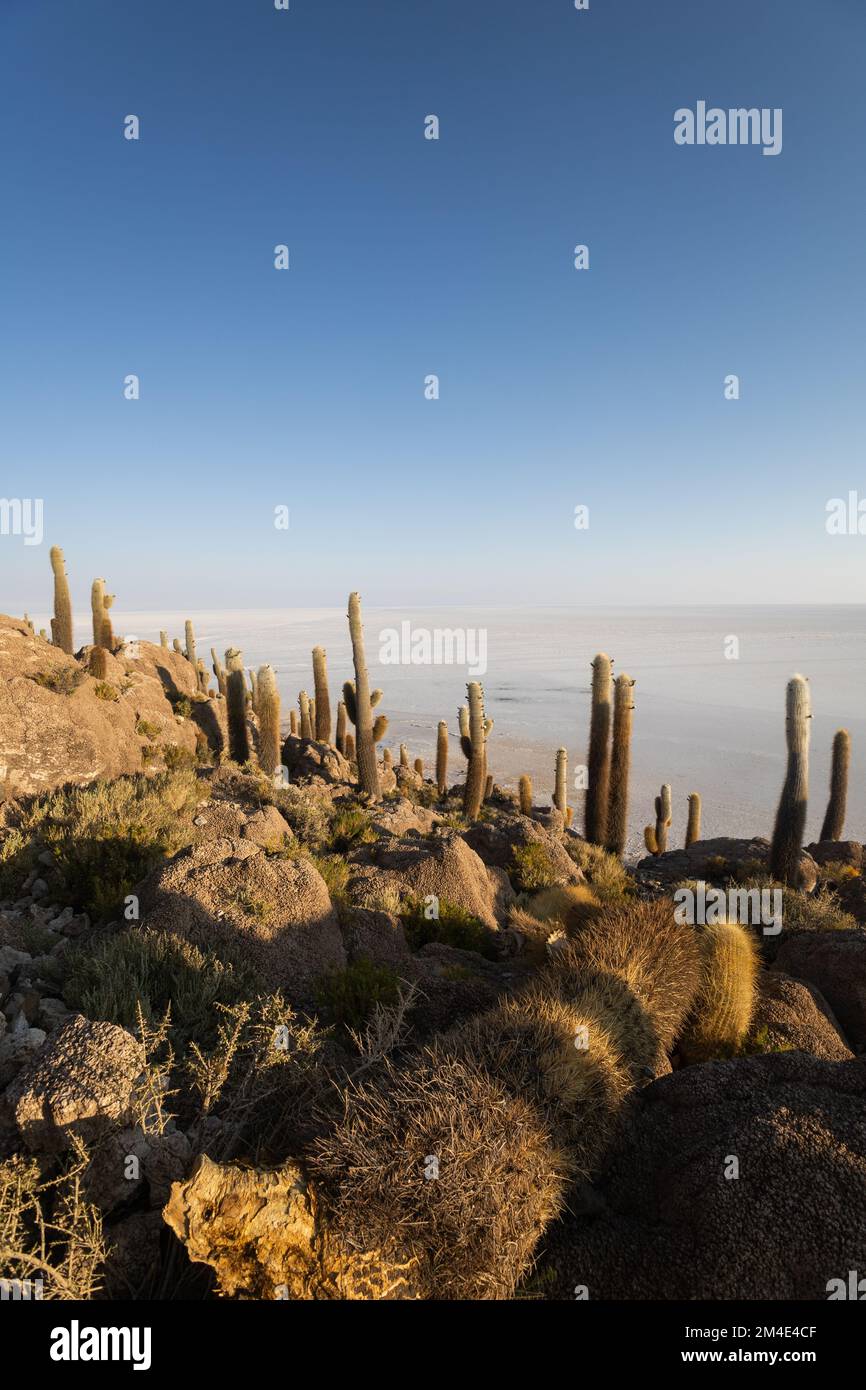 desert tourist destination with mountains and cacti, natural ...