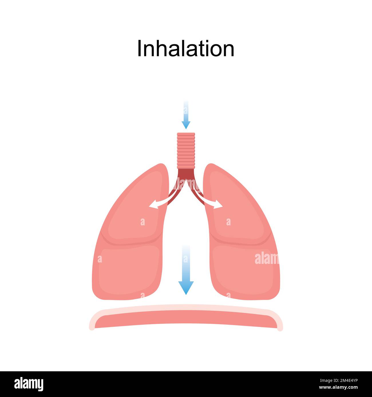 Scientific Designing Inhalation. Colorful Symbols. Vector Illustration ... Scientific Designing Inhalation. Colorful Symbols. Vector Illustration ...
