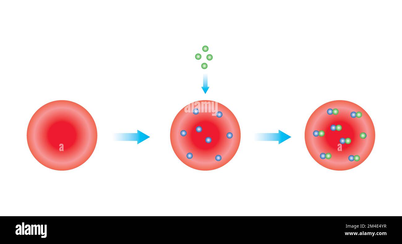 Scientific Designing of Glycosylated Hemoglobin Formation. Colorful ...