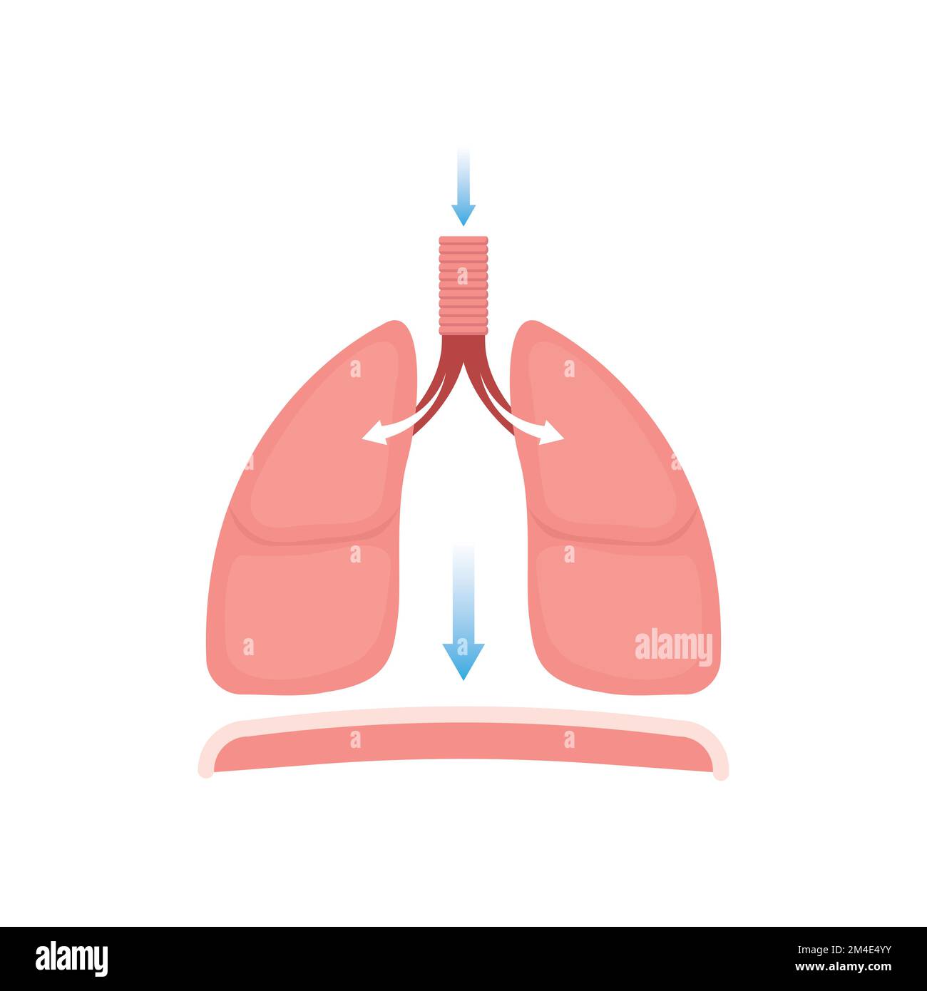 Scientific Designing Inhalation. Colorful Symbols. Vector Illustration ...