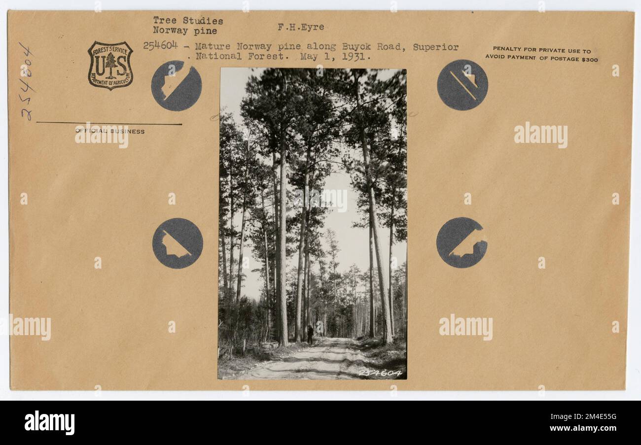 Timber Stand Improvement - General. Photographs Relating to National ...