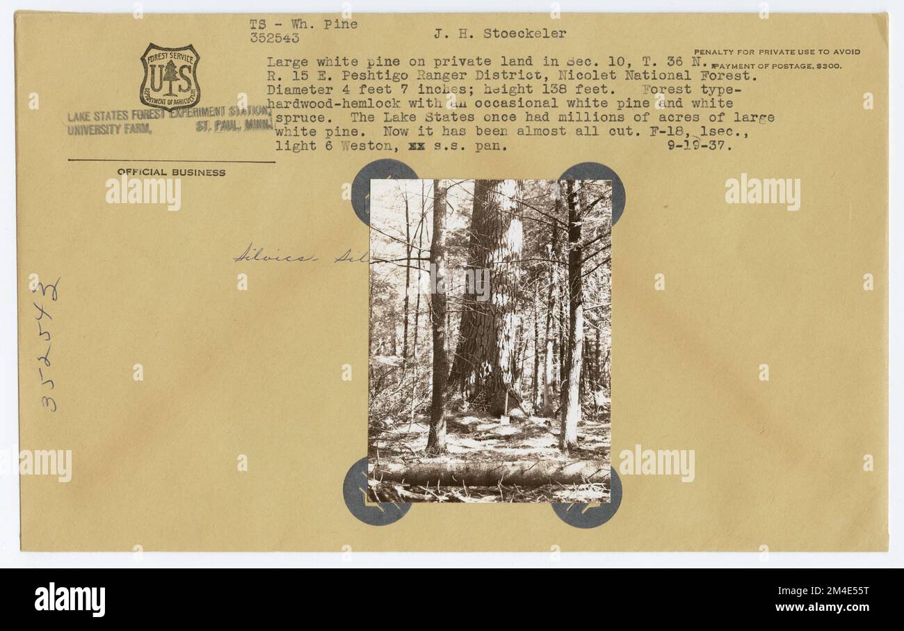 Timber Stand Improvement - General. Photographs Relating to National ...