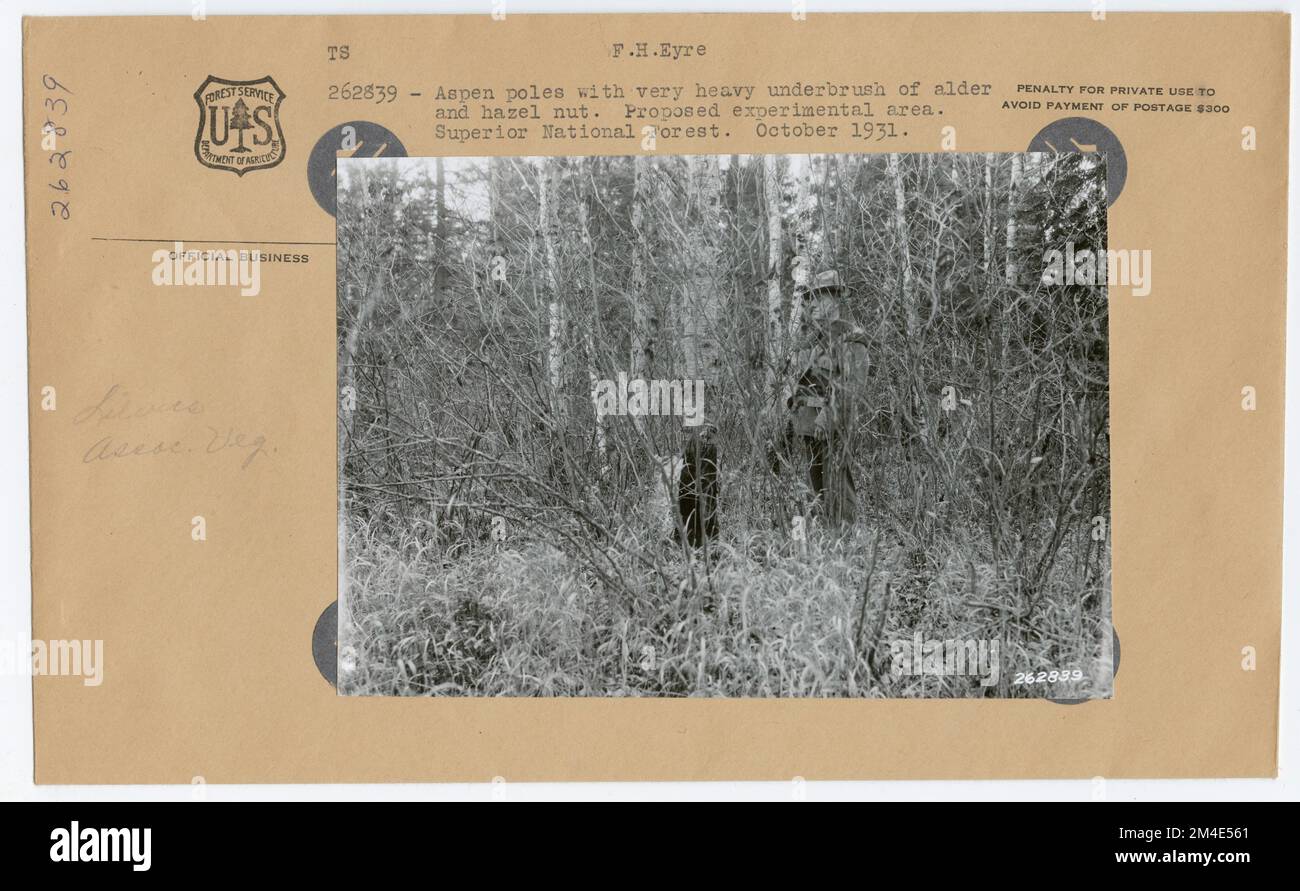 Timber Stand Improvement - General. Photographs Relating to National ...