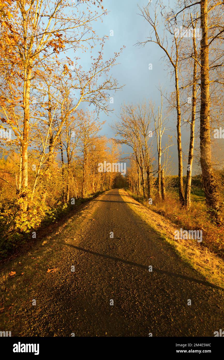 Evening light casting shadows across the multi use Snoqualmie Valley ...