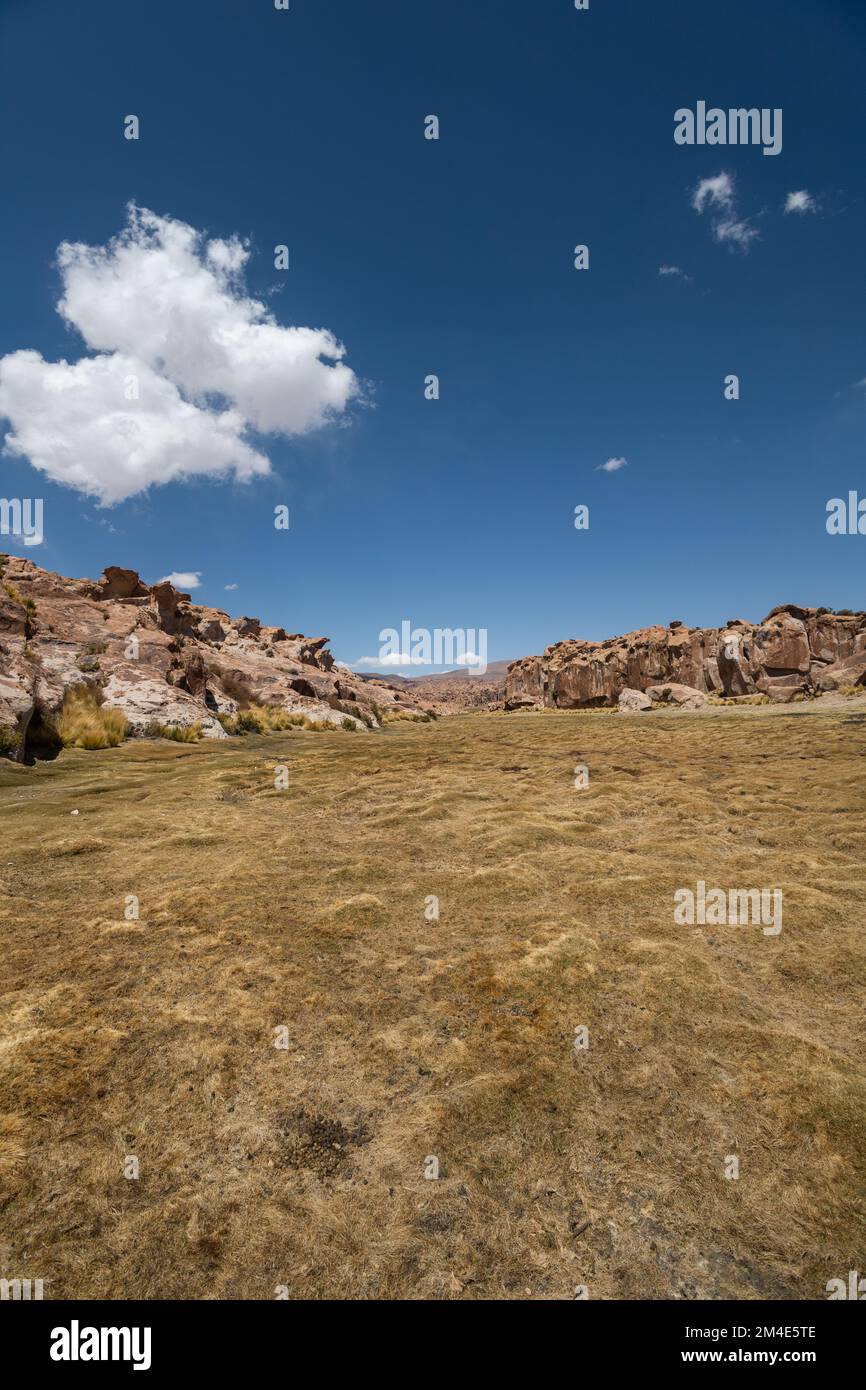 exterior with daylight, ecosystem of latin america, nature without ...