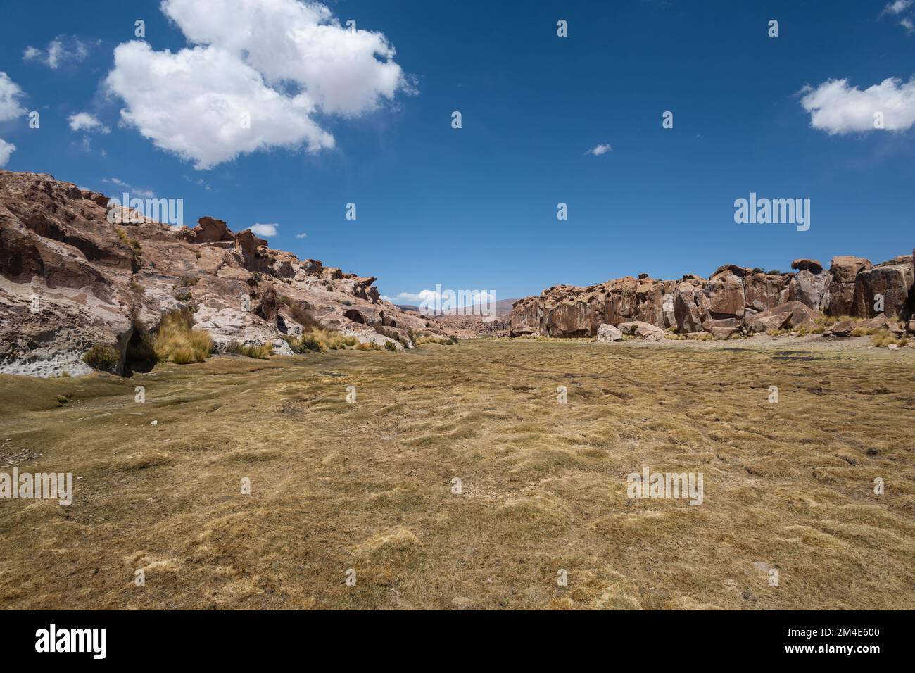 environment in rural area of latin america, nature in tourist place ...