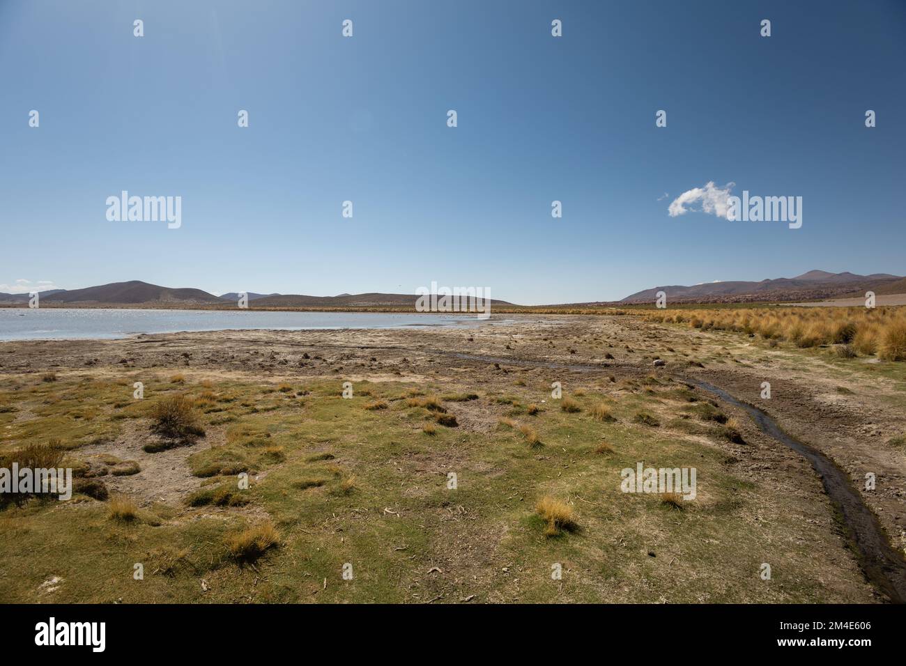 beautiful landscape of latin america in the background lake, mountains ...