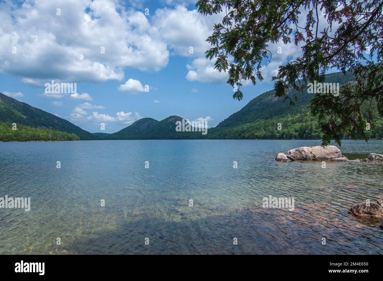 Jordan pine trees landscape hi-res stock photography and images - Alamy