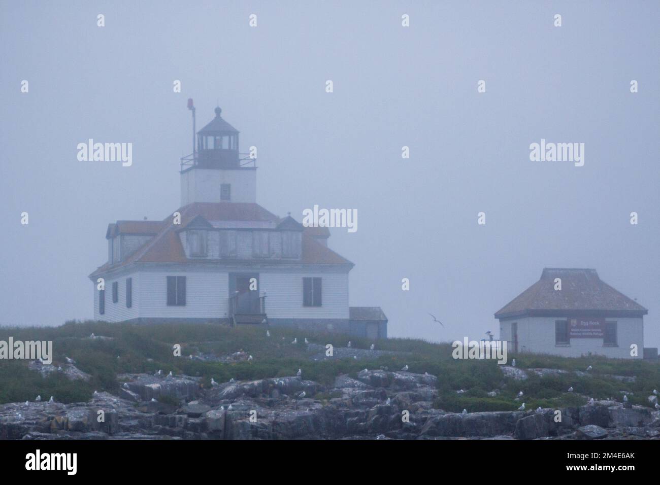 Mt desert rock lighthouse hi-res stock photography and images - Alamy